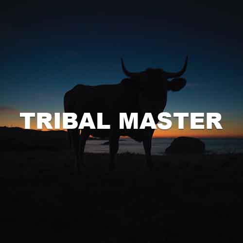 Tribal Master - The Ghost Production