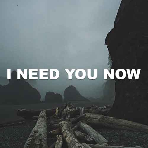 Need You Now Quotes