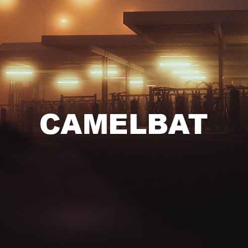 Camelbat - The Ghost Production