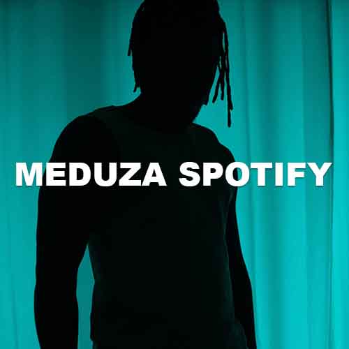 Meduza Spotify - The Ghost Production